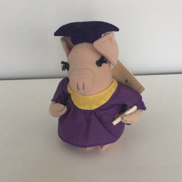 Party Supplies | Graduation Graduate Plush Pig With Diploma | Poshmark